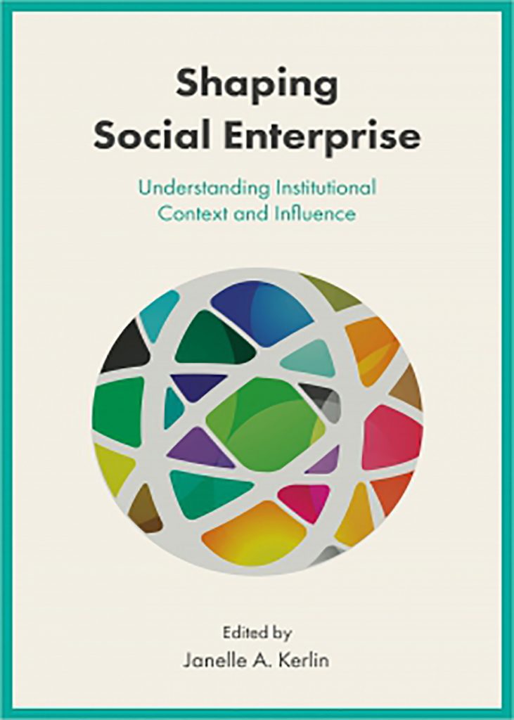 Shaping Social Enterprise | BuyBooks.NG
